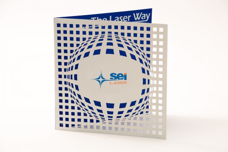 Dragon: compact and fast flatbed plotter CO2 laser system- Seilaser